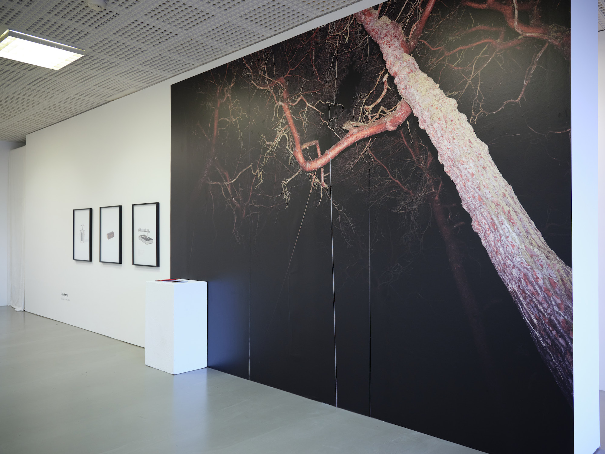 Lisa Koch Fotografie - Ausstellungen